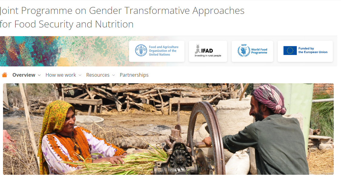 Joint Programme on Gender Transformative Approaches for Food Security ...